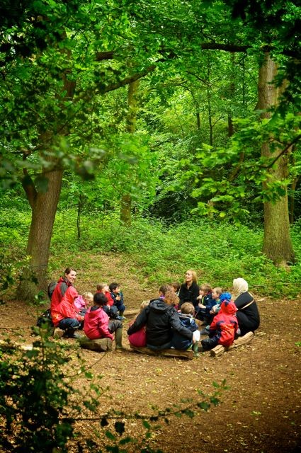 Gallery - Tree House Learning