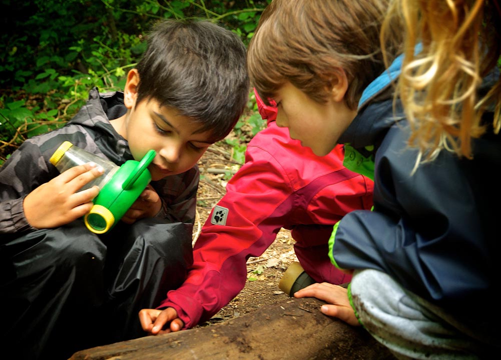 HomePage - Tree House Learning