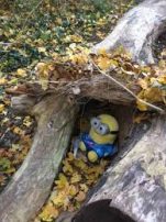 Mini Dens - Tree House Learning